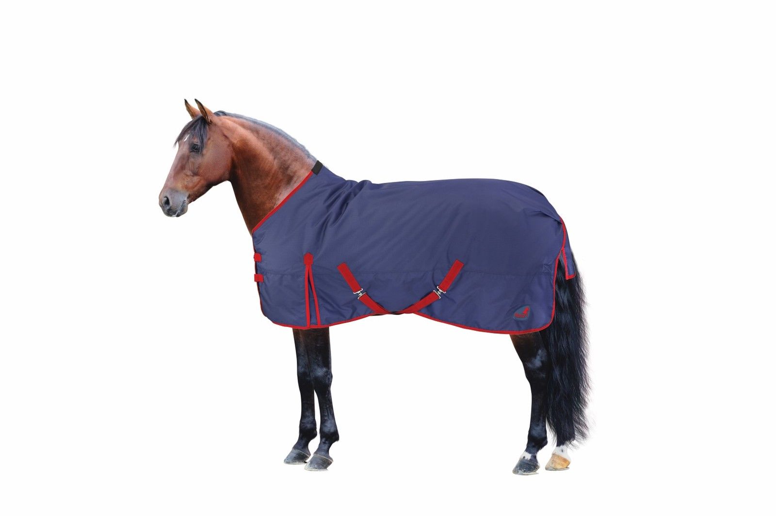 Masta Basics 200G Standard Neck Turnout Rug – The Spoilt Horse Company
