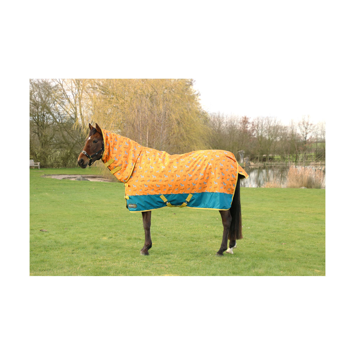 StormX Original Born To Be Wild 200 Combi Turnout Rug – The Spoilt ...