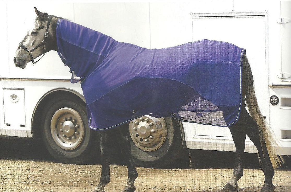 Masta Fleece & Mesh Cooler Rug – The Spoilt Horse Company